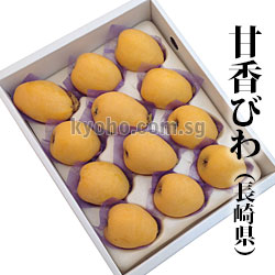 SINGAPORE'S FIRST LUXURY JAPANESE SEASONAL FRESH FRUIT BOUTIQUE "KYOHO-YA"